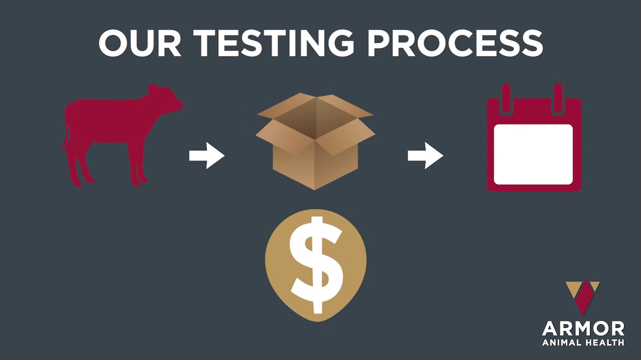 Armor Animal Health Lab Commercial - YouTube