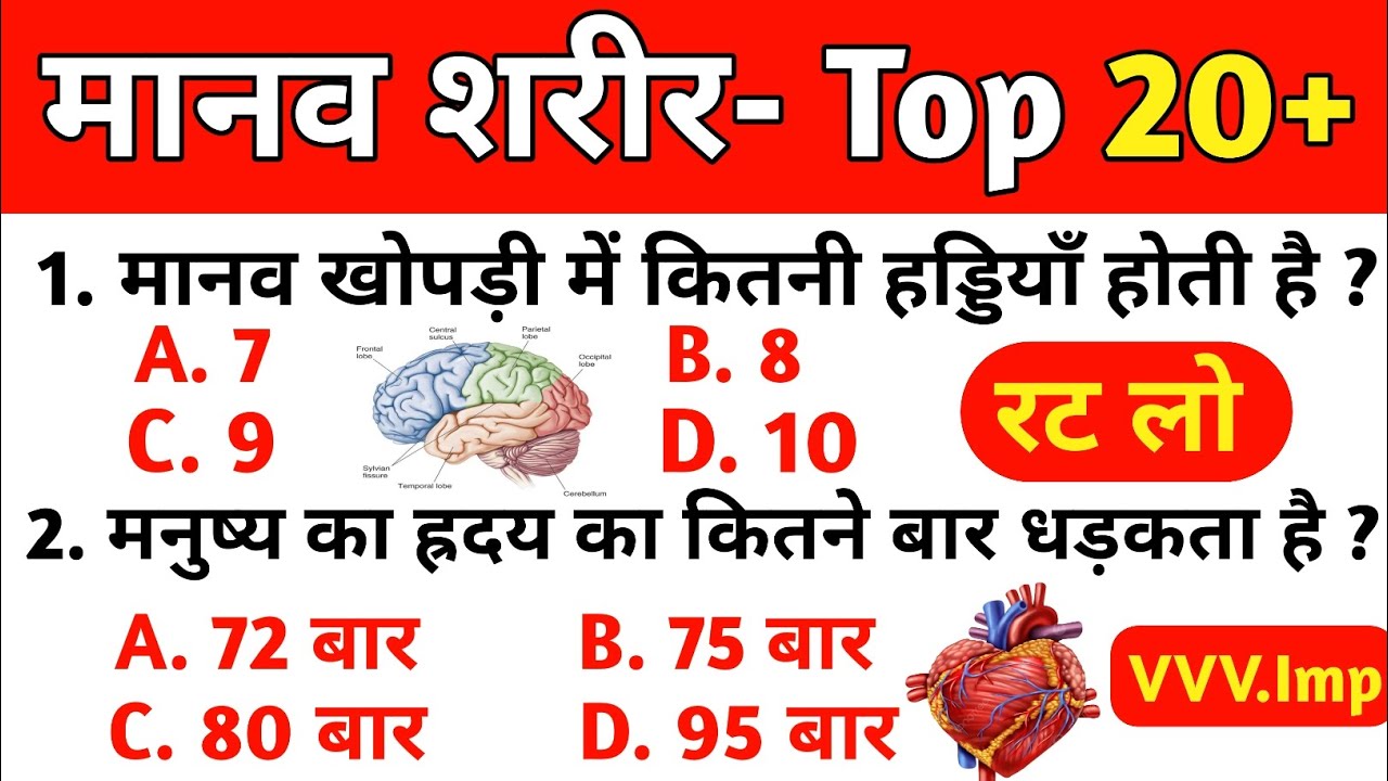 Science gk|Gk in hindi | मानव शरीर | Human Body | general science ...