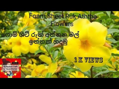 foam sheet Ruk Aththana flowers //රුක් අත්තන මල් හදමු.// - YouTube