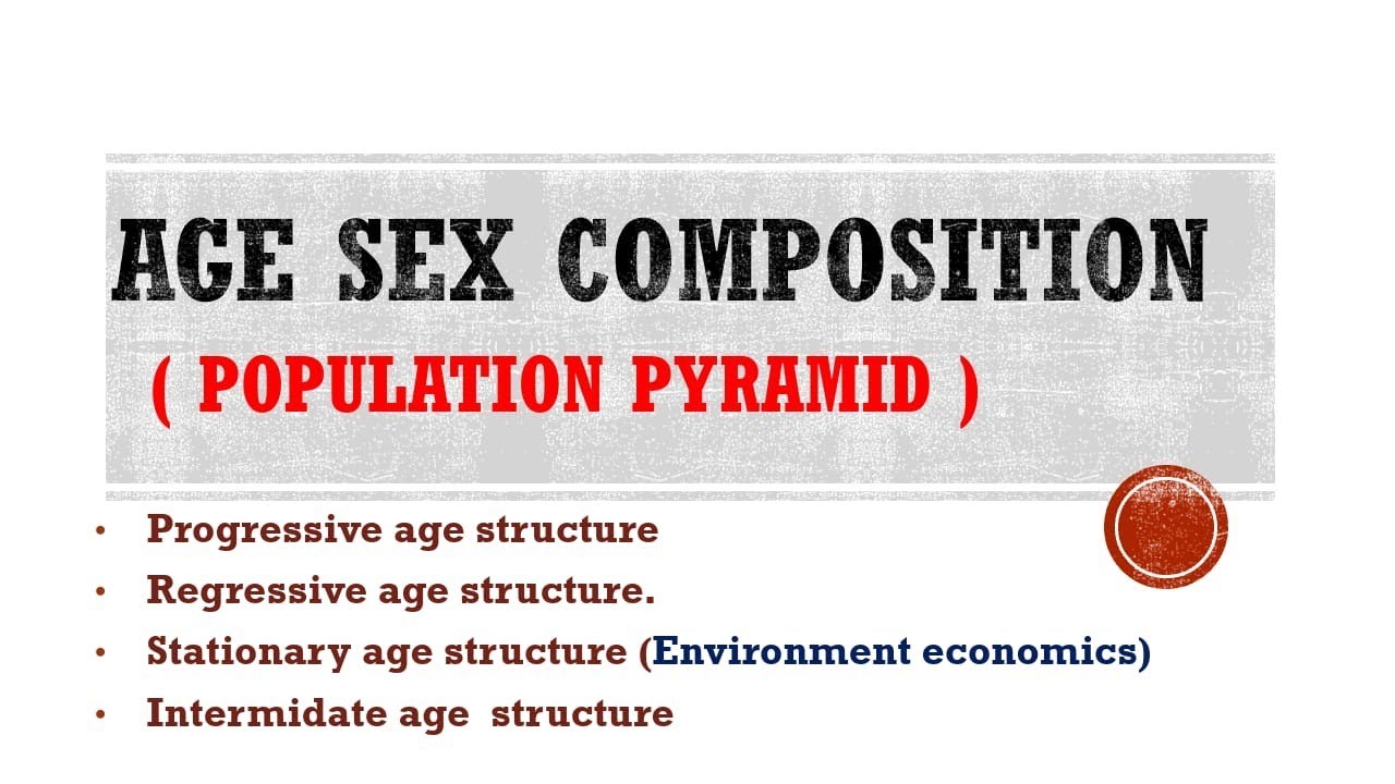 Age Position Population Pyramids Economics By Dd Explained