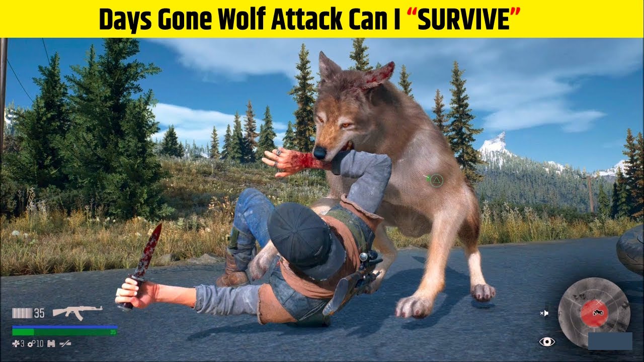Days Gone Wolf Attack Gameplay By Mad Gaming - YouTube