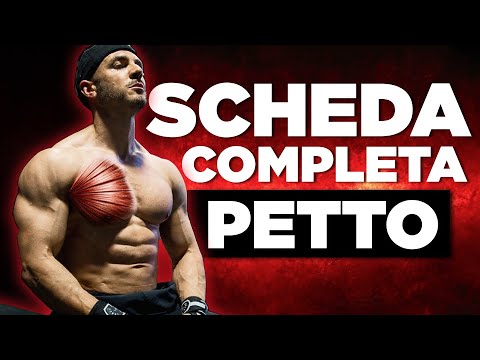 PETTO - Il mio programma completo (spiegazione + scheda)