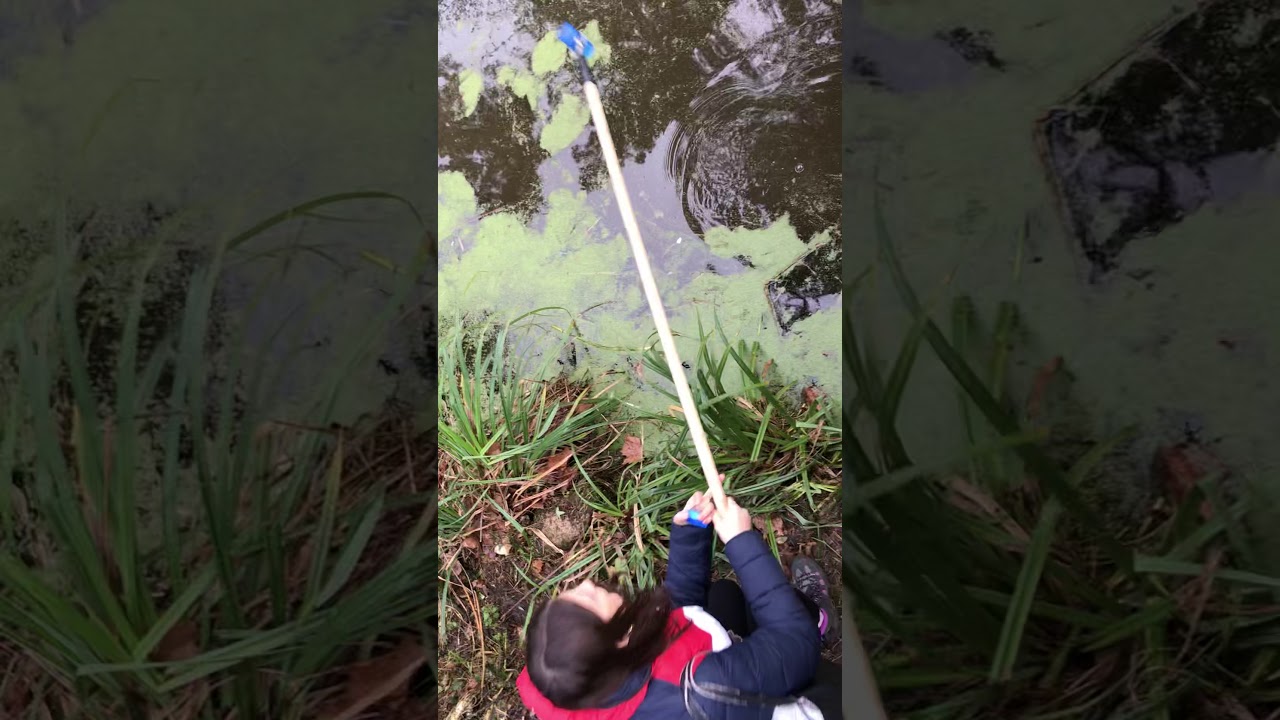 Water sampling technique using a clamping pole - YouTube