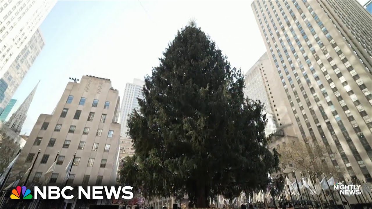 The family behind this year’s Rockefeller Center Christmas Tree - YouTube