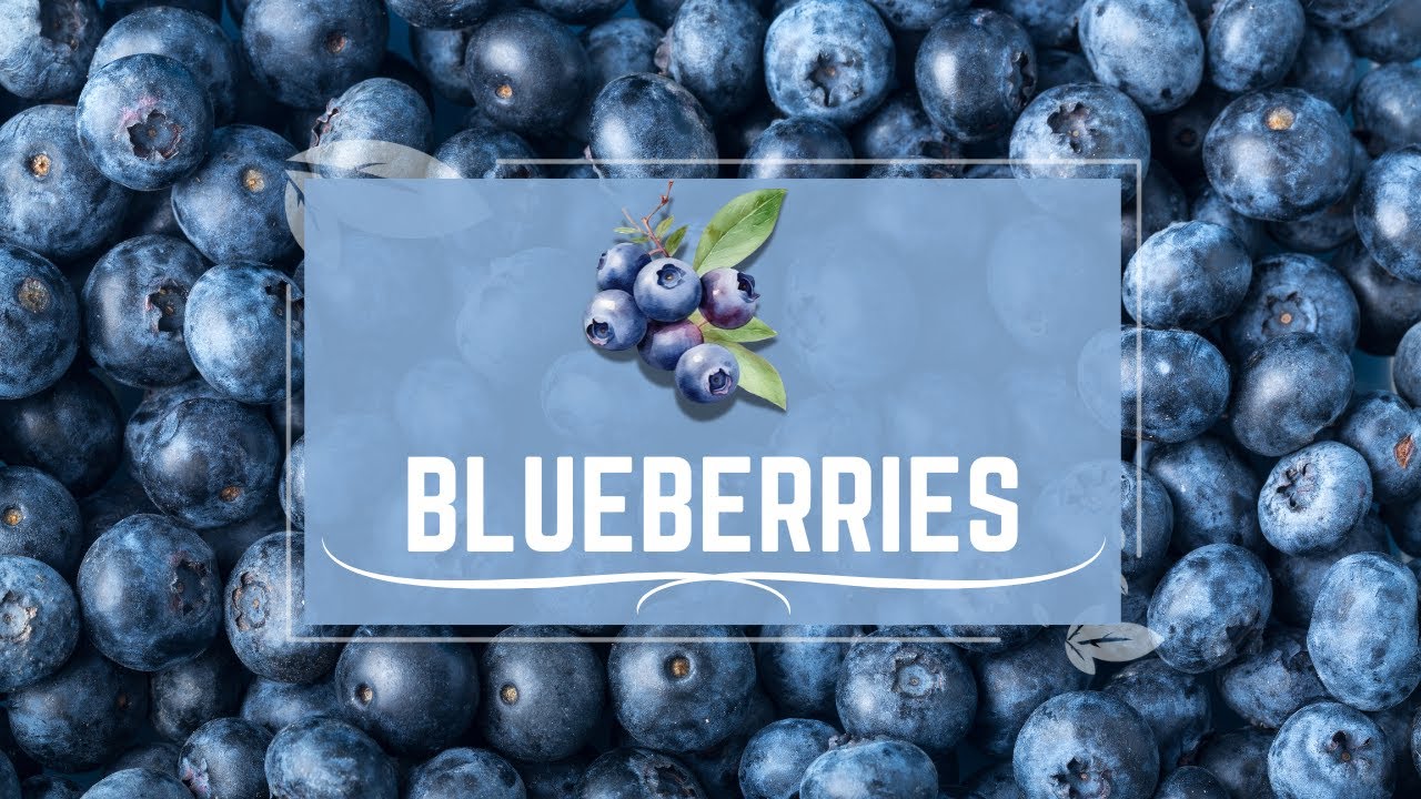 8 Proven Health Benefits of Eating Blueberries Daily - YouTube