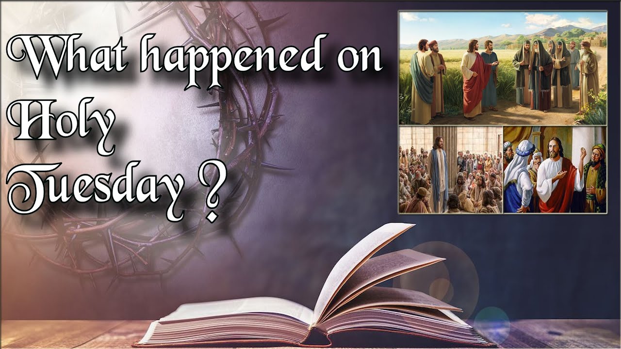 What happened on Holy Tuesday ? | Holy Week Reflections - YouTube
