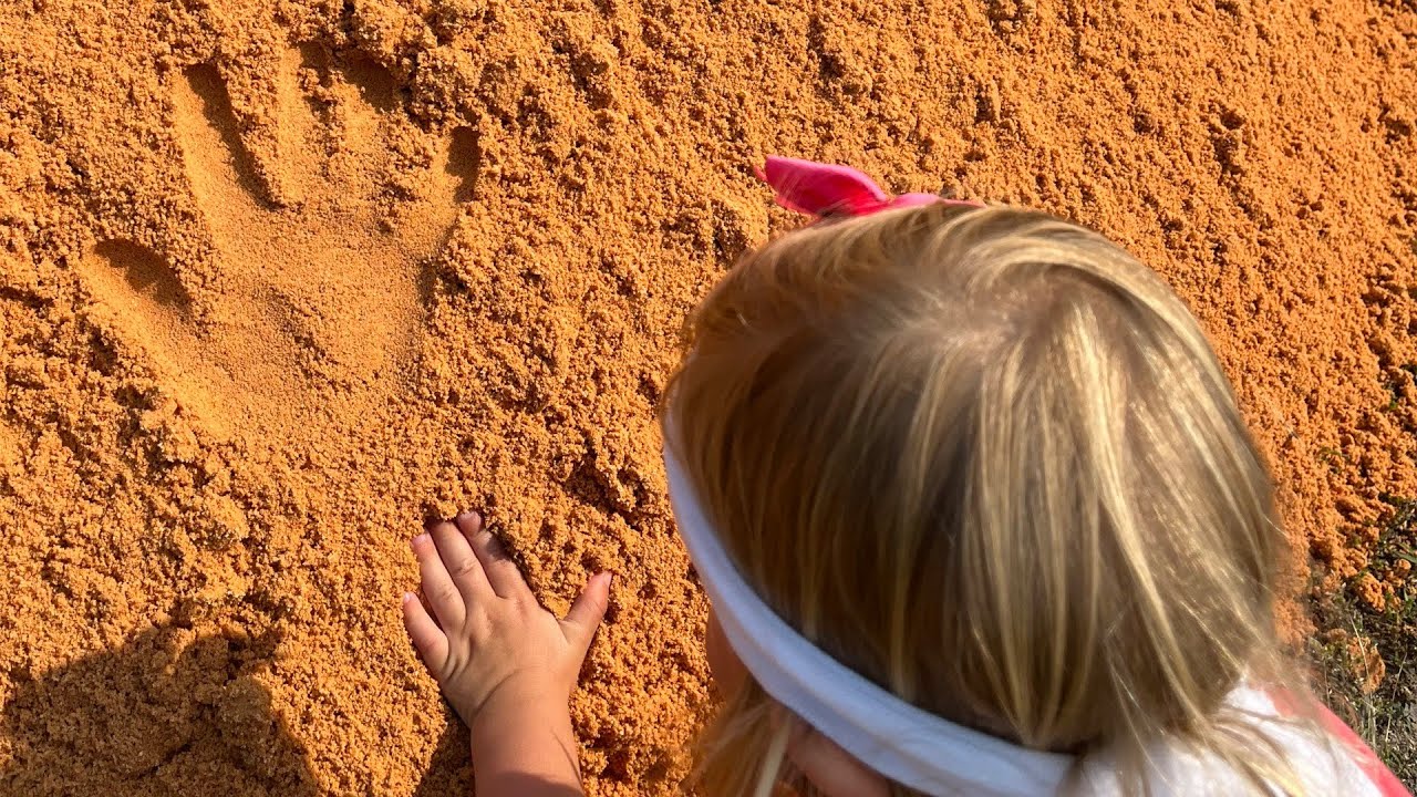 Sand Level Like a Pro // Preparation for Sand Leveling a Lawn - YouTube