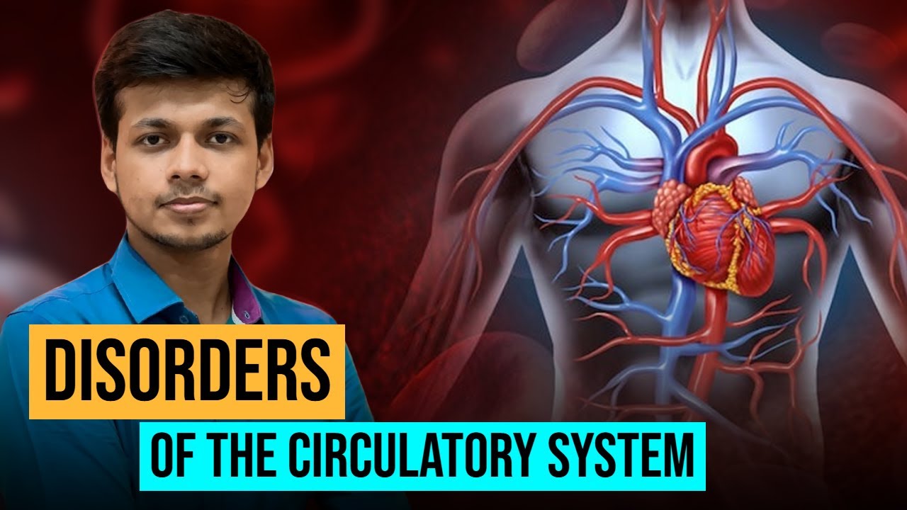 Disorders of the Circulatory System | Quick Class for NEET & JENPAS ...