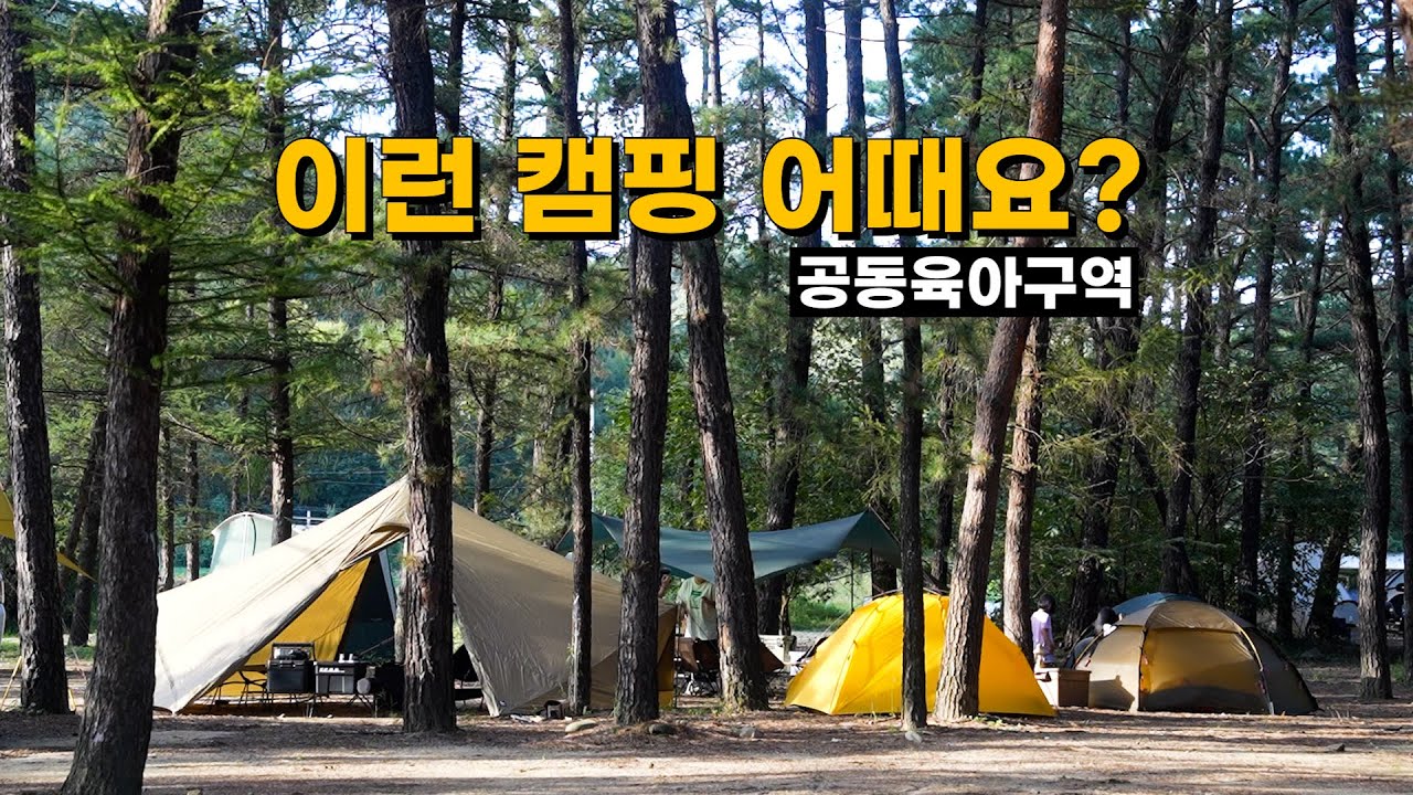 미즈캠핑 캠핑 친구를 만들어 보세요 스펙타클한 캠핑을 원하세요 공동 육아 캠핑 자연 친화적 캠핑장