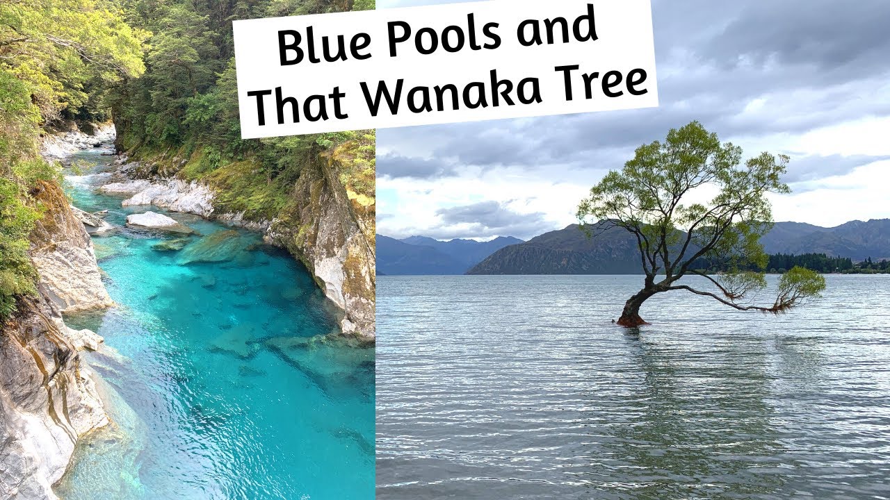 The Blue Pools and Wanaka! That Wanaka Tree, New Zealand Travel Vlog ...