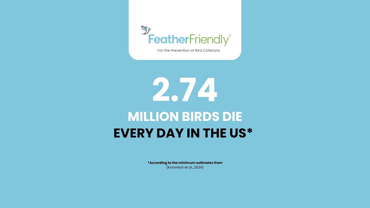 Save birds’ lives with Feather Friendly’s proven solutions. - YouTube