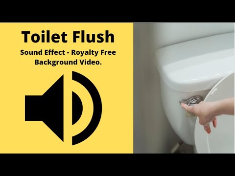 Toilet Flush Sound Effect - Royalty Free Background Video - YouTube