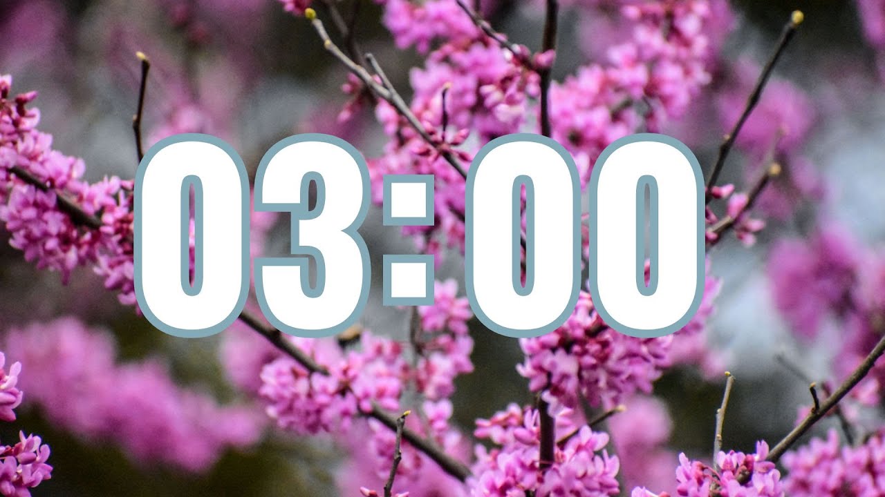 3 Minute Countdown Timer - Spring Blooms - Calm and Relaxing Music ...