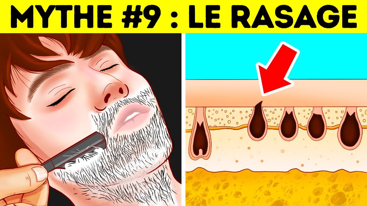 14 Idées Reçues Sur Le Corps Humain Qui Pourraient Bien Être Des Mythes ...