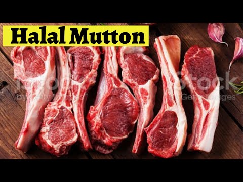 Halal Gosh ki tasdeeq kaise karen? | Haq-o-Batil |