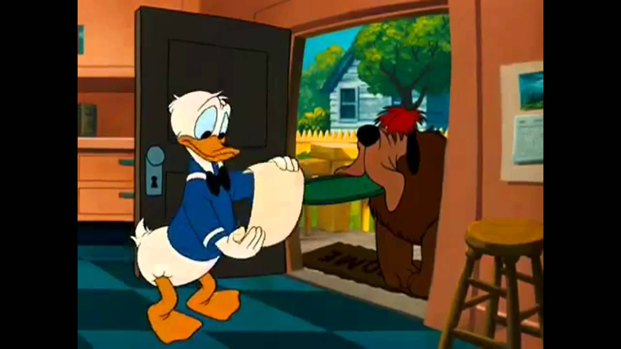 Disney Videos Donald Duck - The New Neighbour (SD) - YouTube