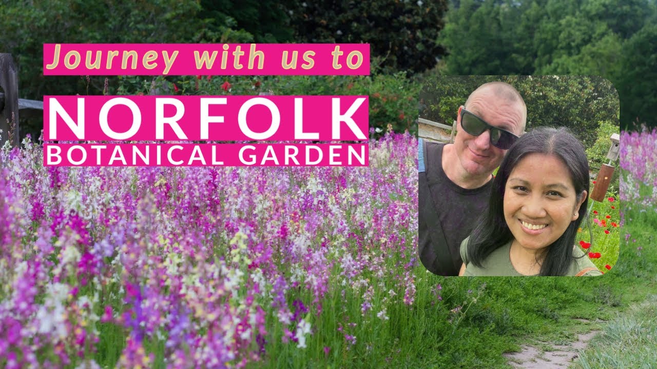 Spring Has Sprung! Norfolk Gardens is Blooming! - YouTube