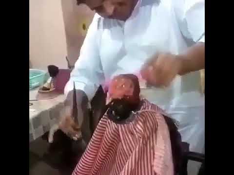 Xoruz Berberi Azeri prikol