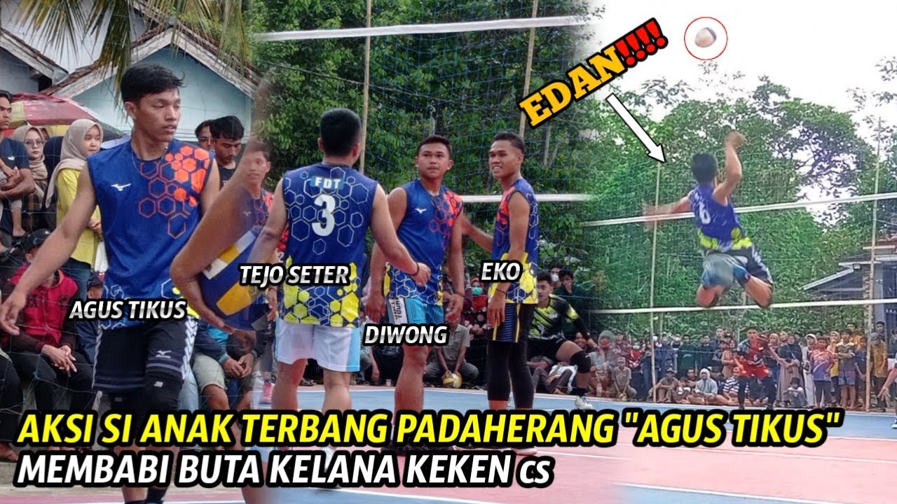 AKSI "AGUS TIKUS" SI ANAK TERBANG PADAHAERANG MEMBABI BUTA KELANA KEKEN ...