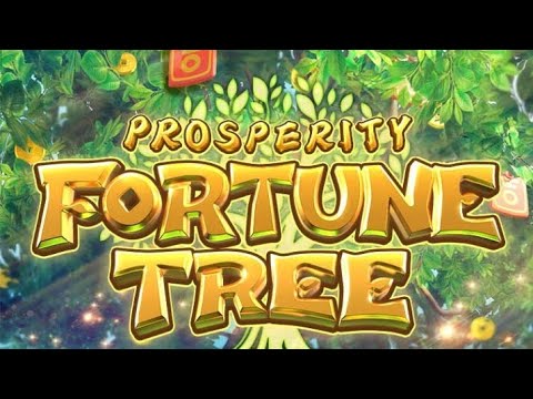 Prosperity Fortune Tree 🔥5,000times #phdream #scatter - YouTube