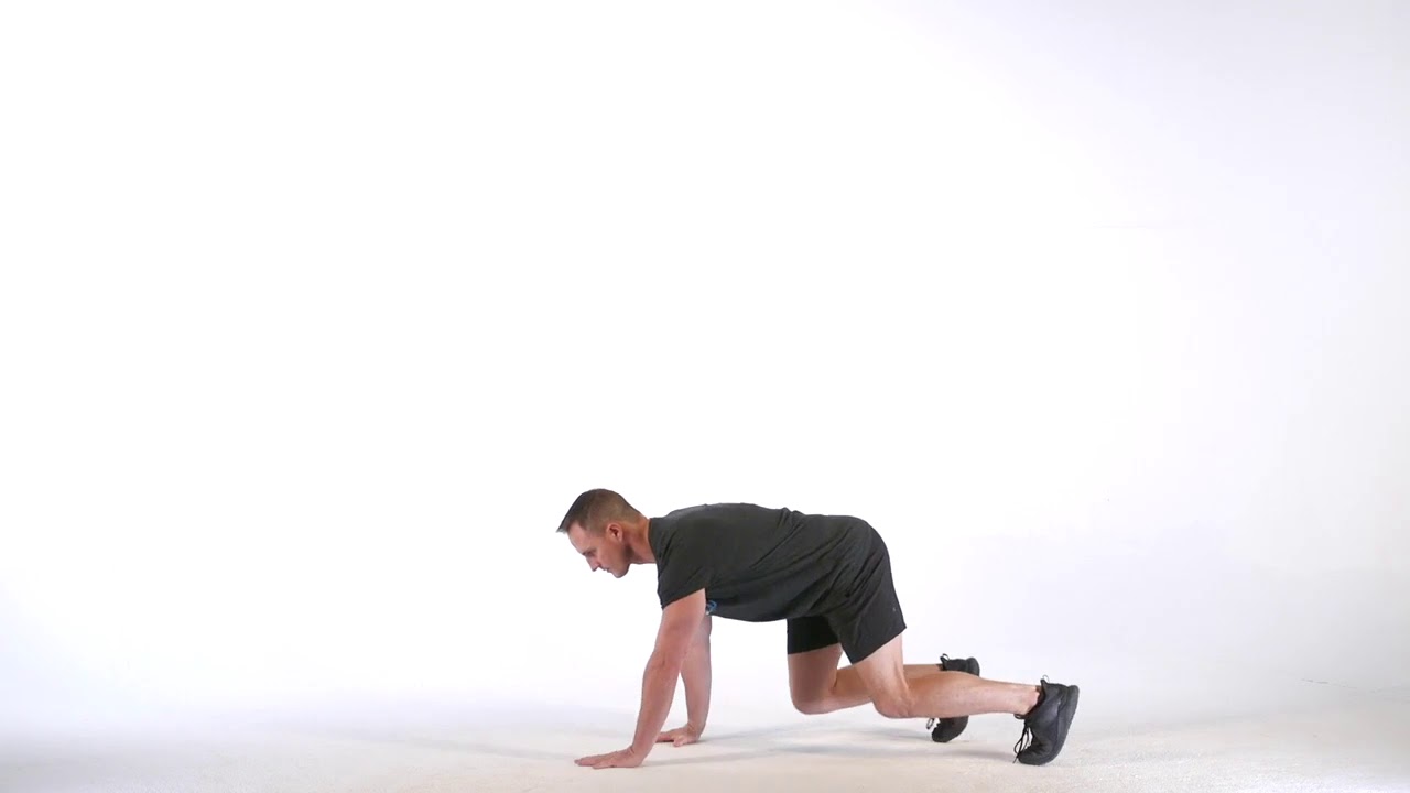 Bear Crawls - YouTube