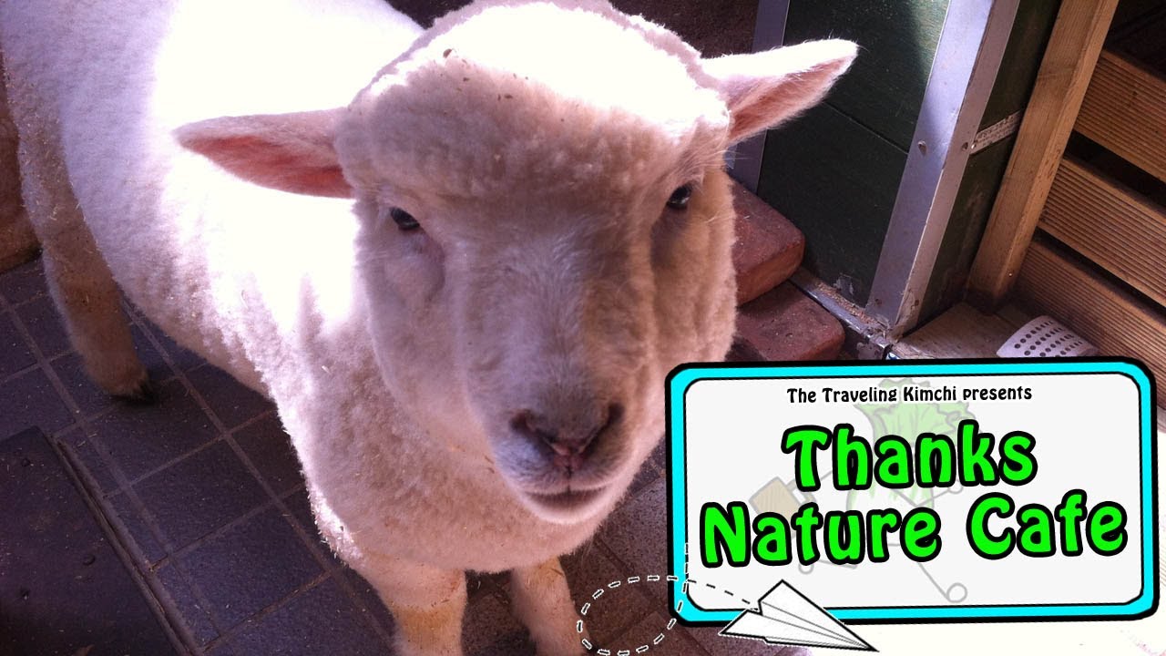 Adventure: Thanks Nature Cafe - YouTube