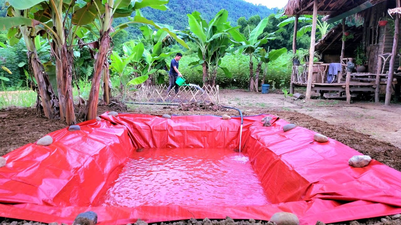 Build water storage tanks on the farm, building wooden house 2023 | Nhu ...