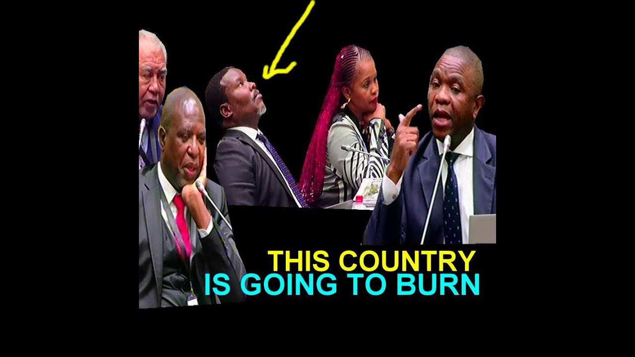 ANC Chief Whip stretched his neck as General Mkhwanazi fires last ...