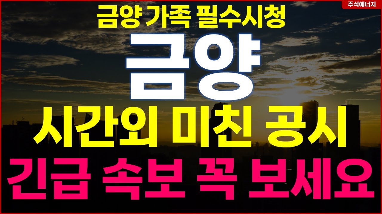금양 시간외 미친 공시 긴급 속보 꼭 보세요 금양 가족 필수시청 포스코홀딩스 금양주가 에코프로 에코프로비엠 박순혁 서정덕tv 2차전지 Youtube