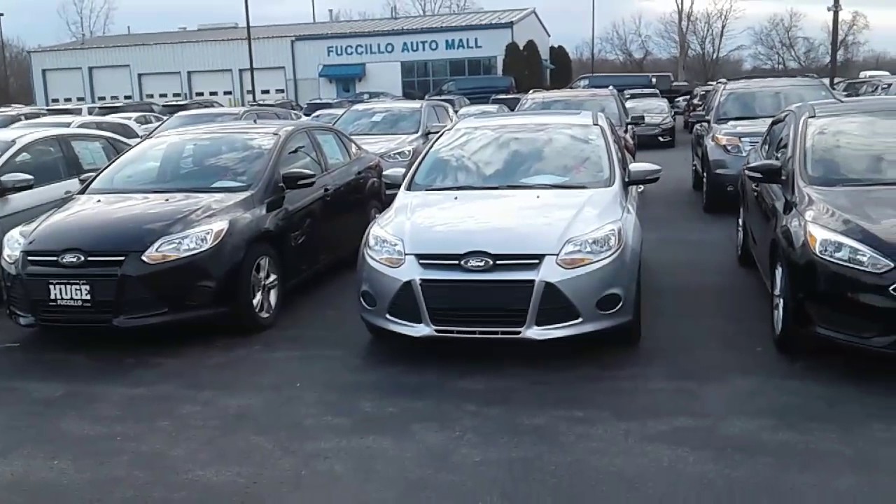 Shelly Ford Focus - YouTube