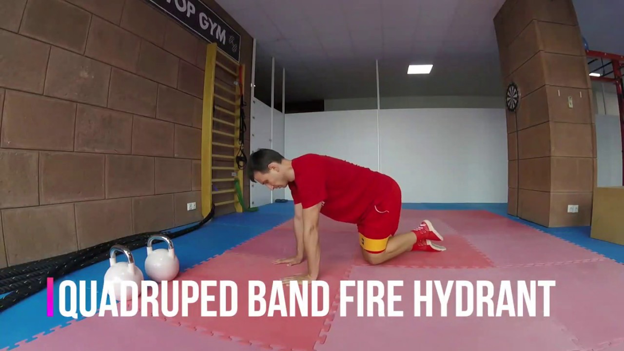 QUADRUPED BAND FIRE HYDRANT - Top Gym - YouTube