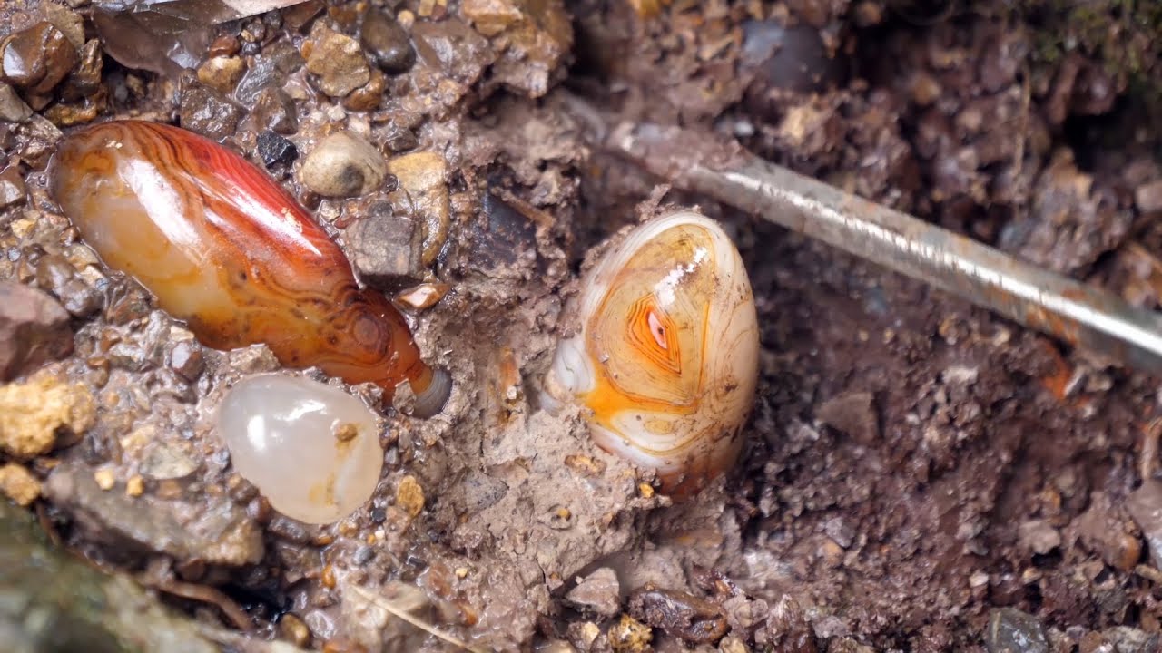 Mysterious patterns of agate are found in natural rock areas, how these ...