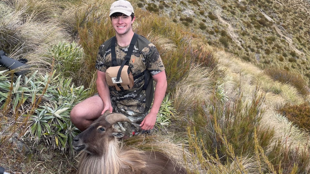 Mid Canterbury Tahr Hunt – High Country Bull Down - YouTube