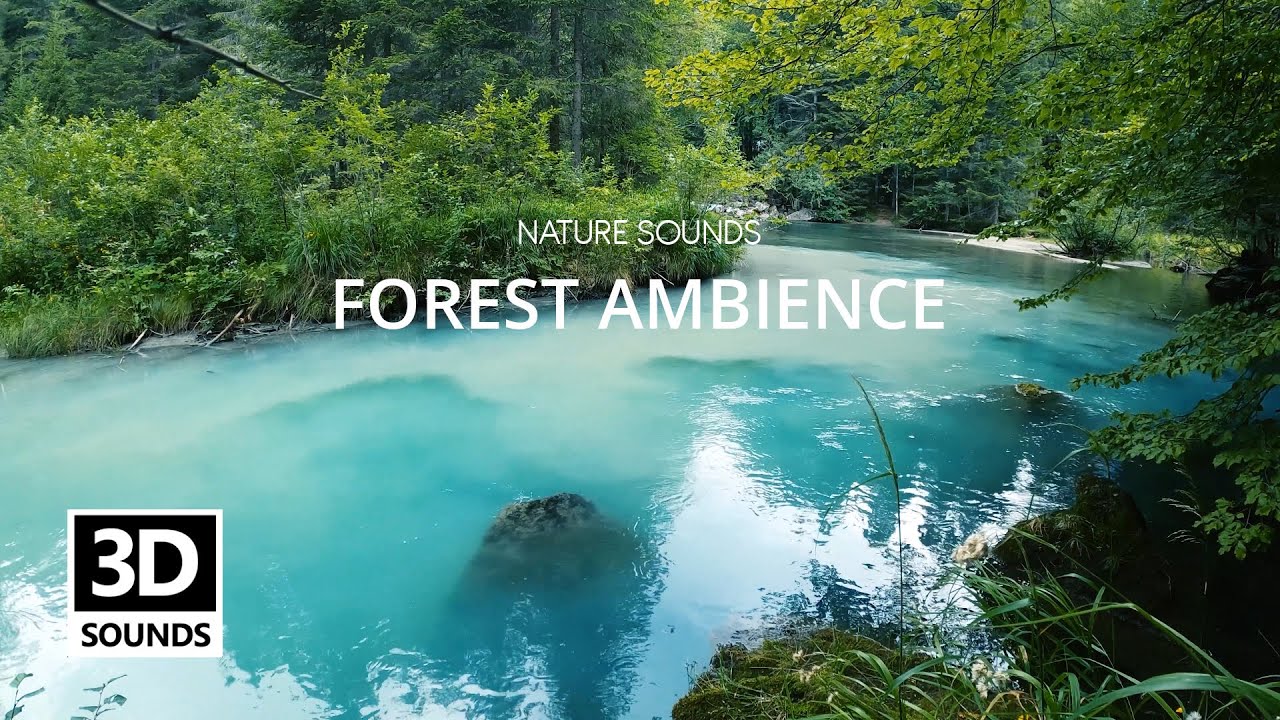 Relaxing Nature Sounds | River Sounds, Water Flow, Birds Singing | | No ...