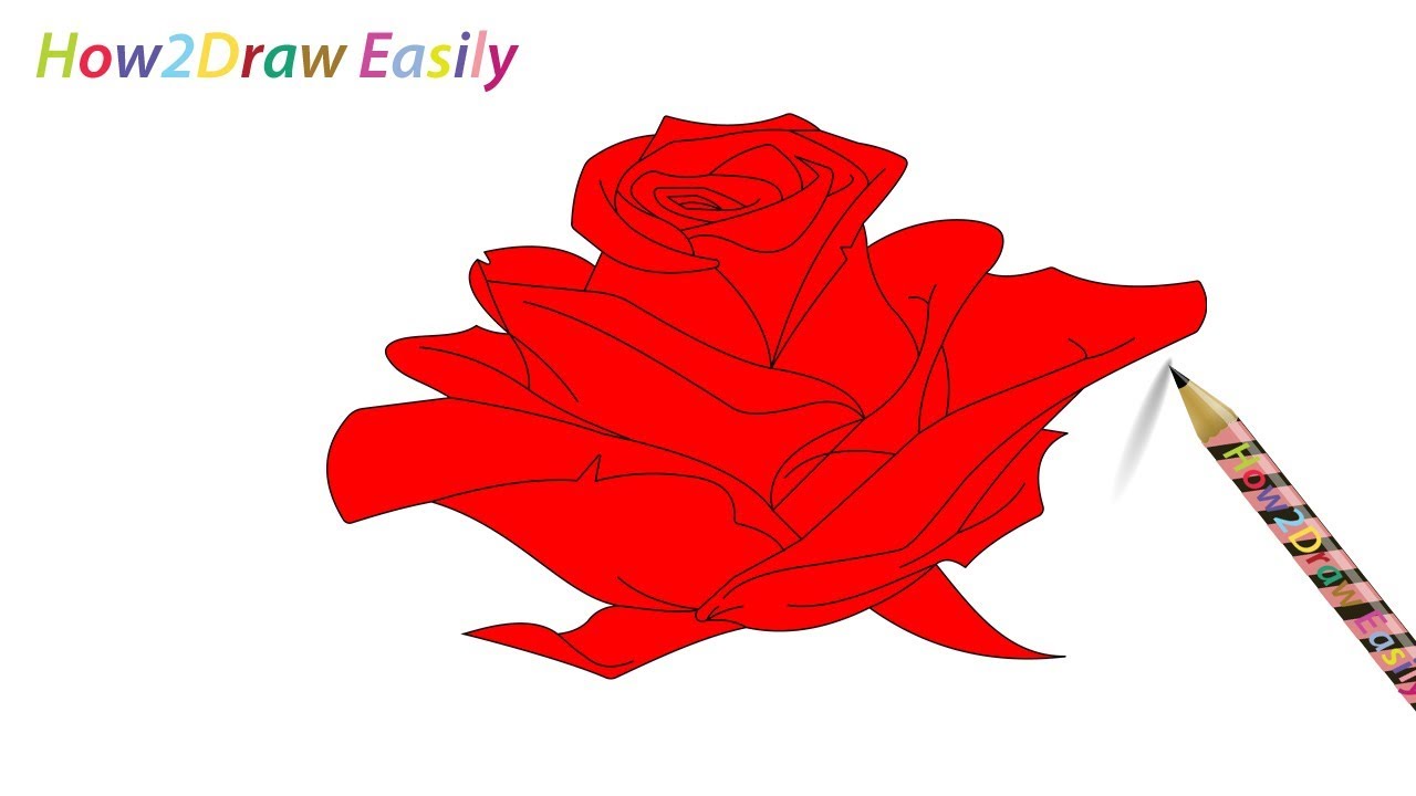 How to Draw a Red Rose | Step by Step Easy Drawing - Coloring - YouTube
