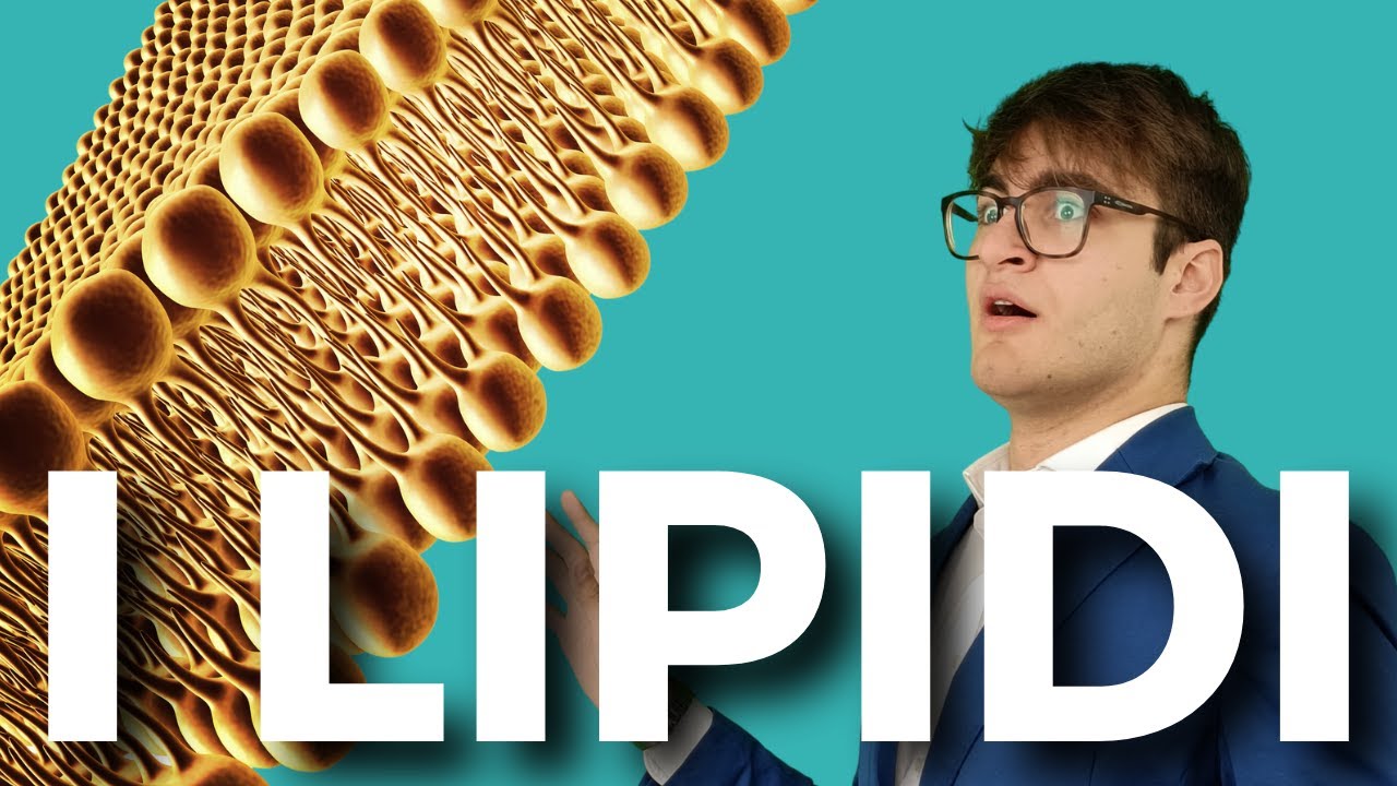 I LIPIDI in poco più di 2 minuti | Biologia FACILE per il TOLC-MED - YouTube