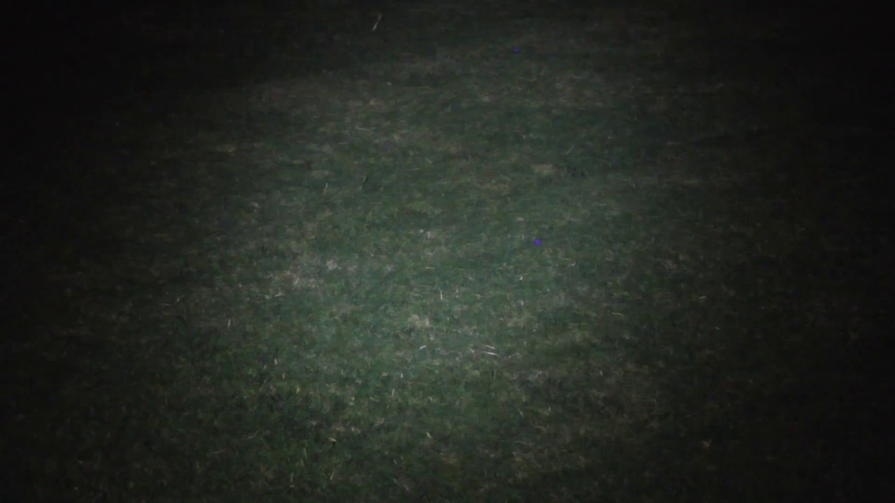 Spider Eyes Glowing In The Night YouTube