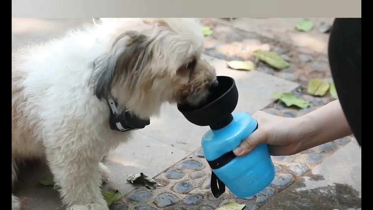 Переносная, дорожная поилка для собак DOG WATER BOTTLE 550 мл - YouTube