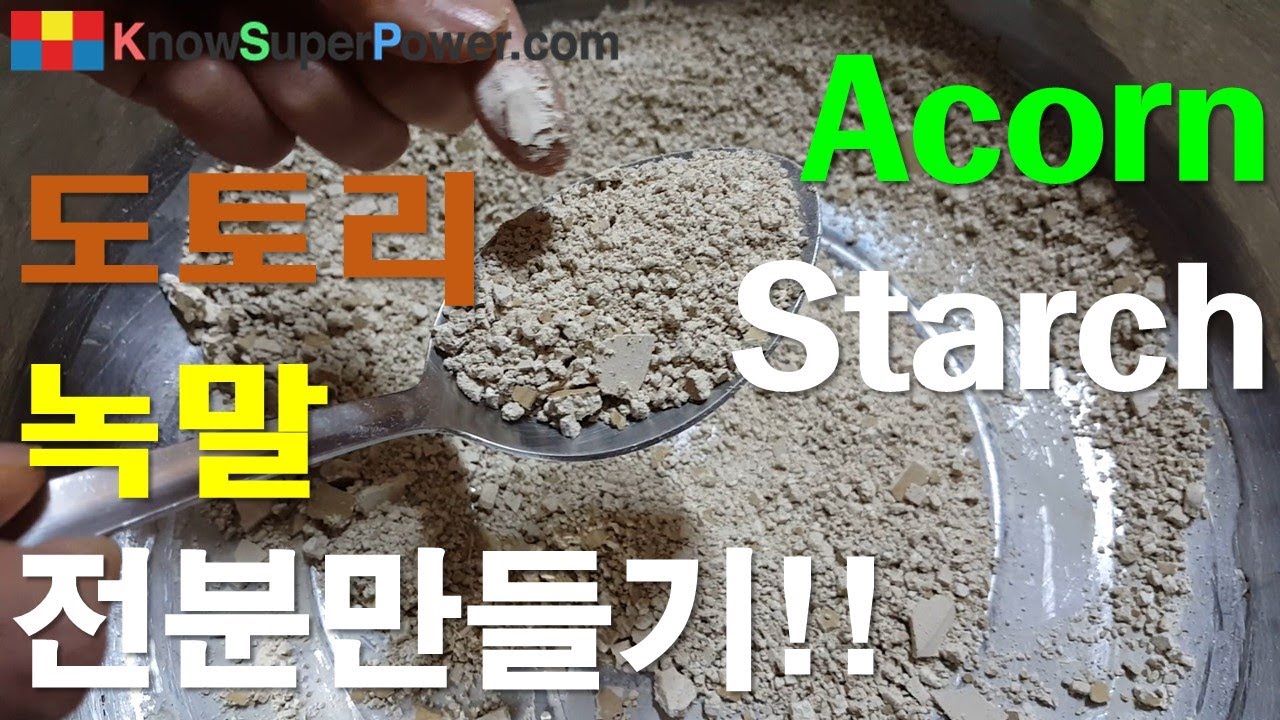 도토리전분만들기 Acorn Starch 집에서 간단하게 만드는 법 - YouTube
