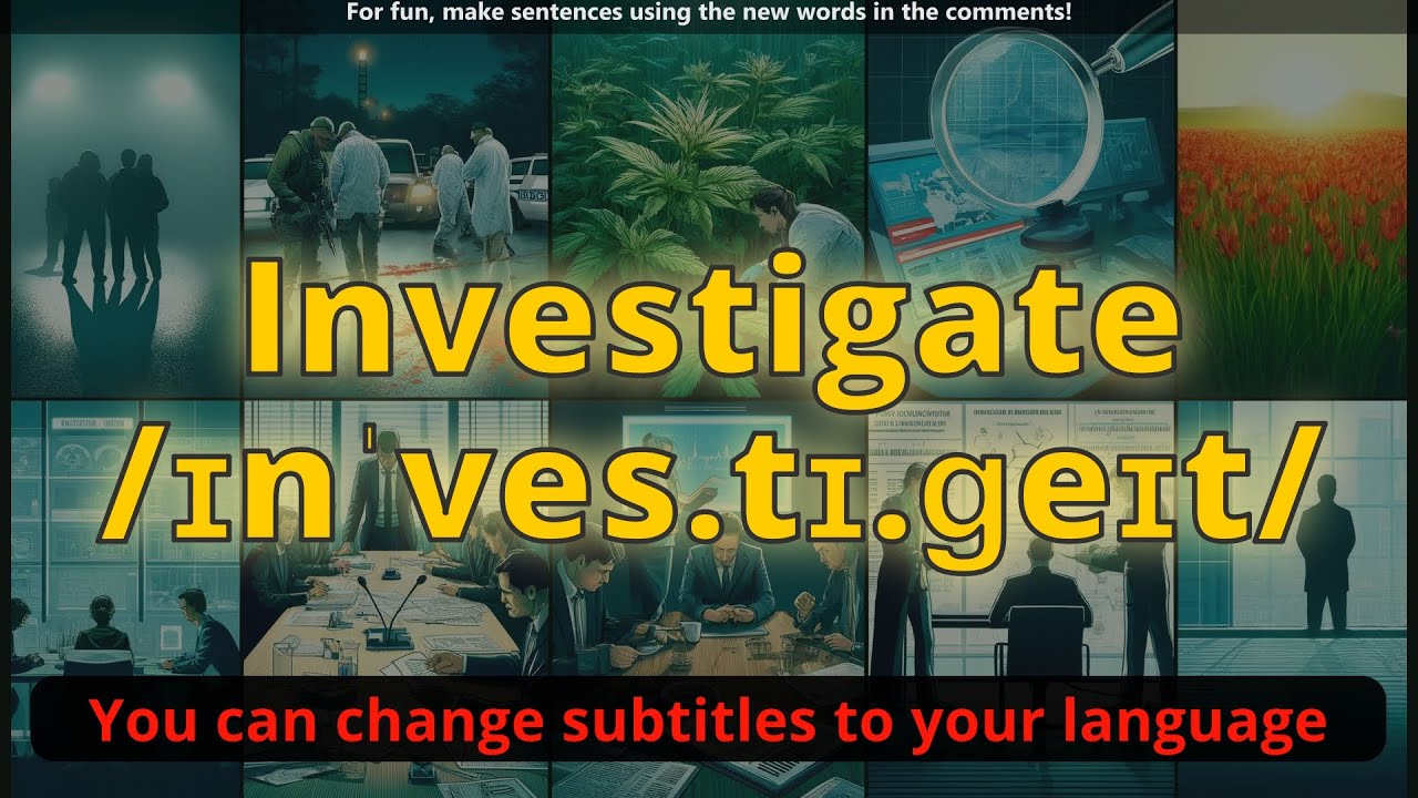 Investigate meaning with 5 examples - YouTube