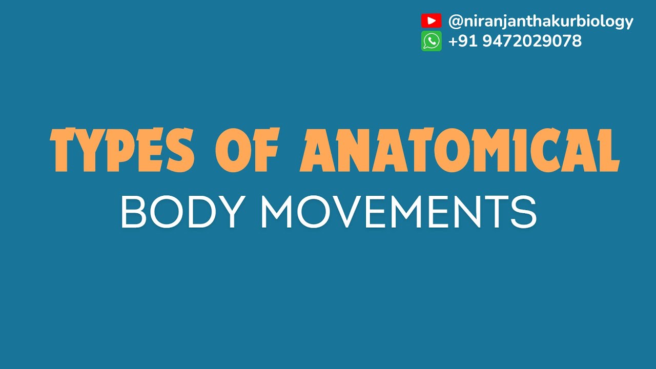 Mastering Anatomical Body Movements | 🦴 Musculoskeletal System ...