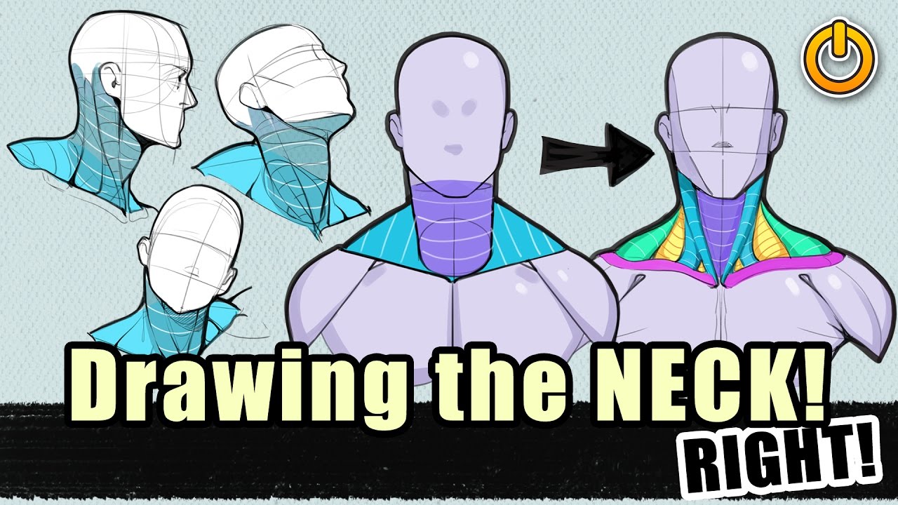 Basic Shapes to Anatomy breakdown! THE NECK! - YouTube