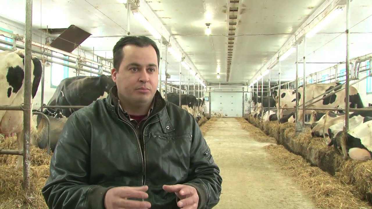 Troisième prix Ma ferme, mon monde 2009 : Ferme Benoit Laliberté et ...