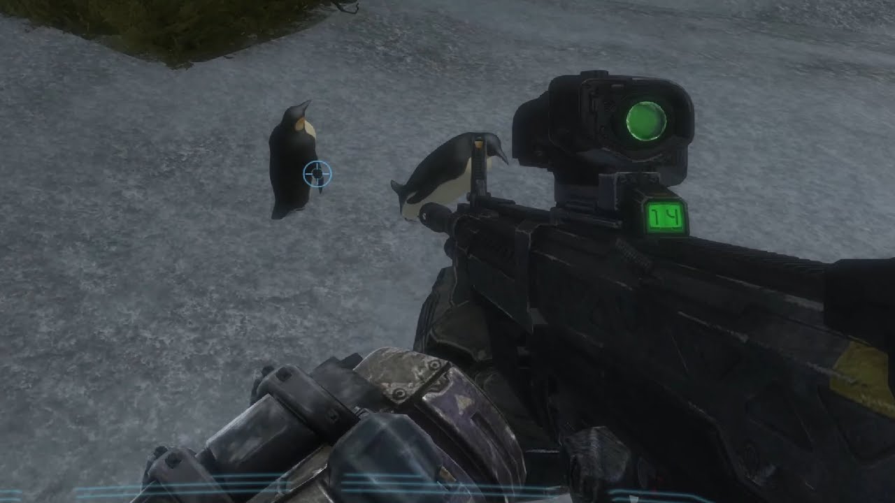 Halo Reach Penguin - YouTube