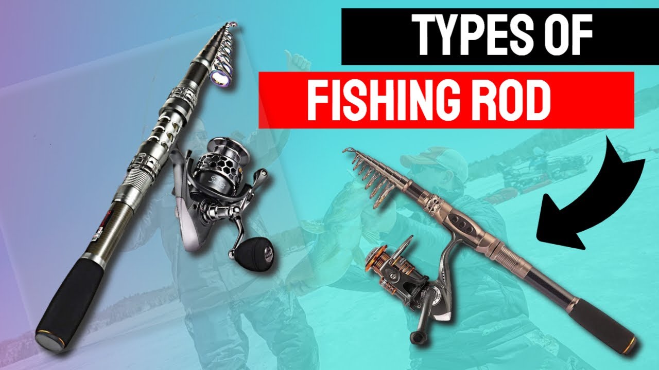 Different Types Of Fishing Rod Explained - YouTube