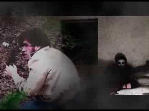 Marble Hornets - Little Lion Man (Tim & Jay) - YouTube