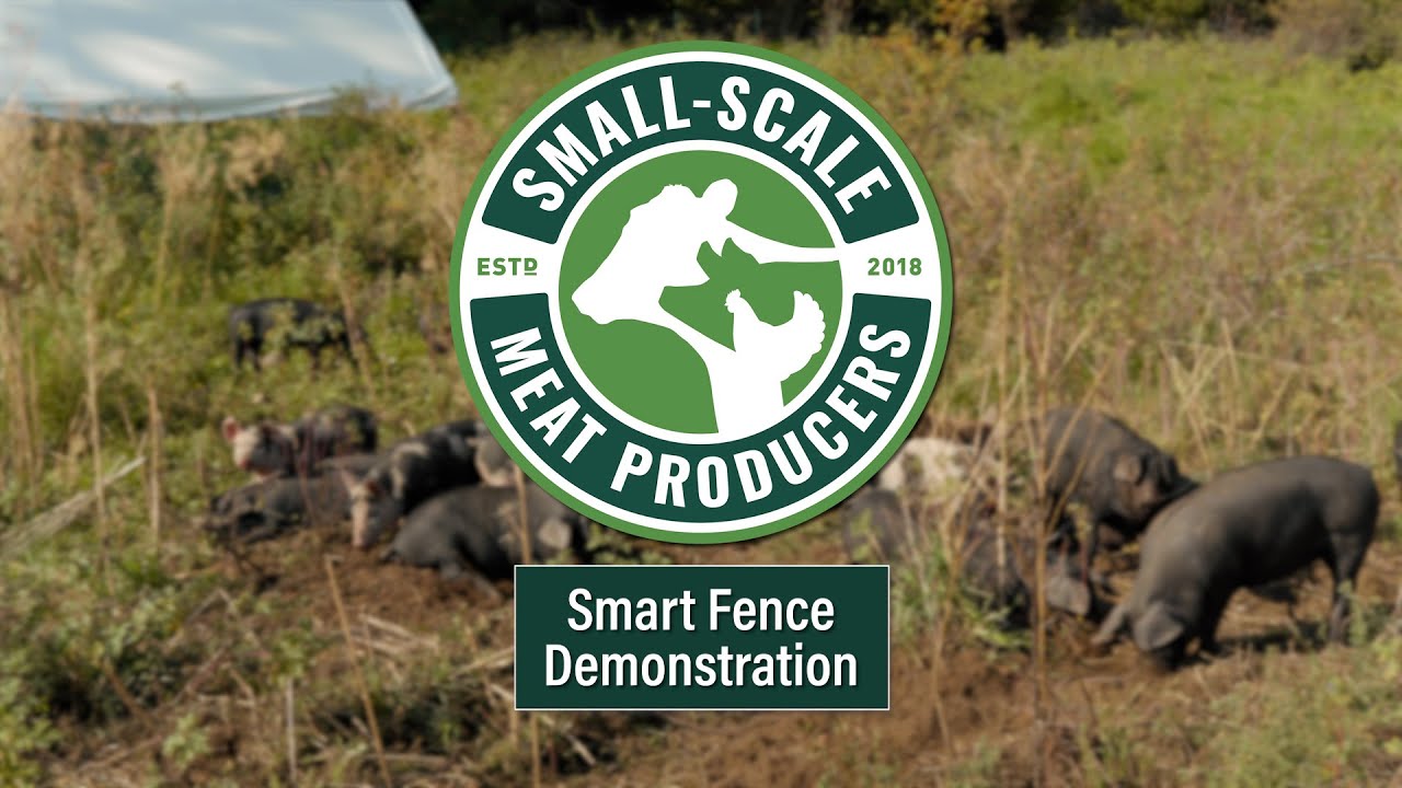 Smart Fence Demonstration - YouTube