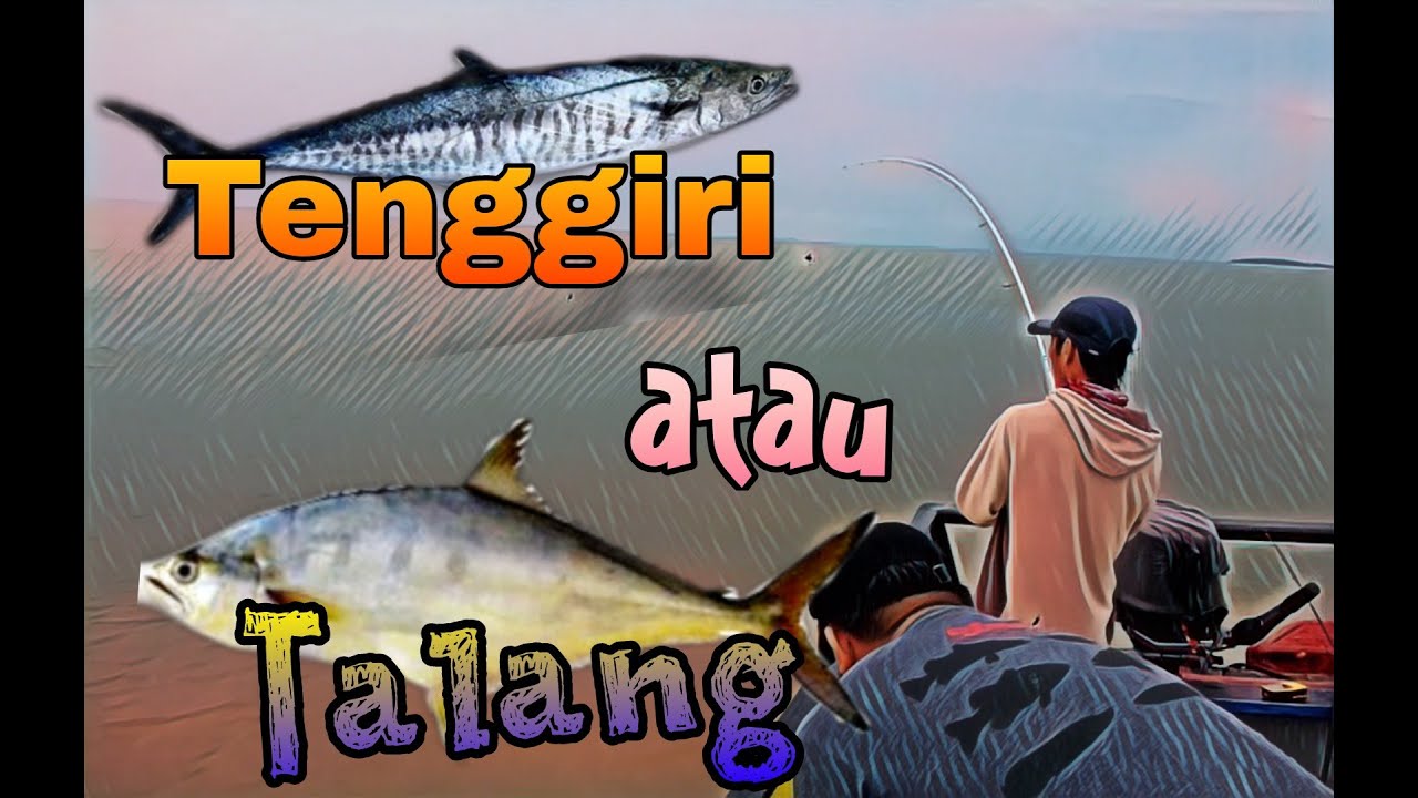 IKAN MELOMPAT KE DALAM BOT - YouTube