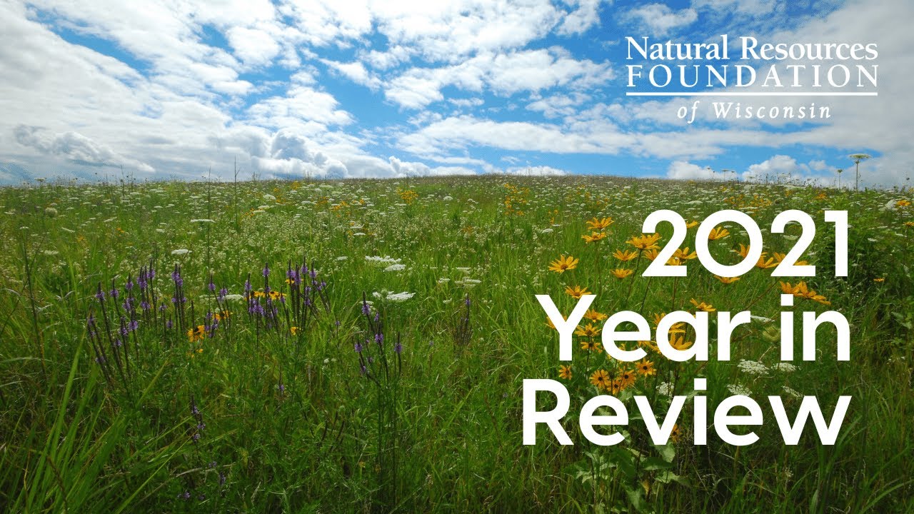 2021 Year in Review - YouTube