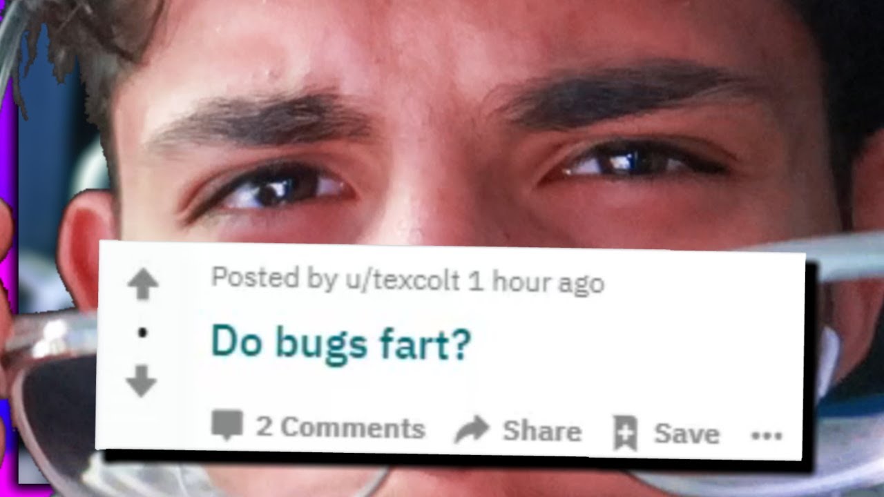 Do Dumb Questions Exist? - YouTube